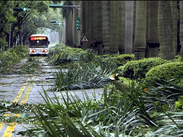 One dead, 31 injured as Typhoon Soulik hits Taiwan | Global News