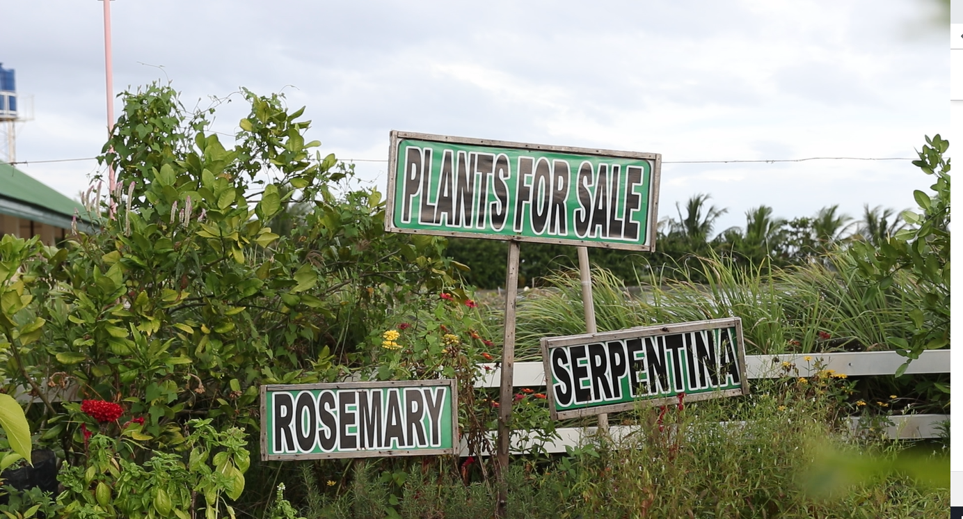 Bongabong, the hidden treasure of Or. Mindoro | Global News
