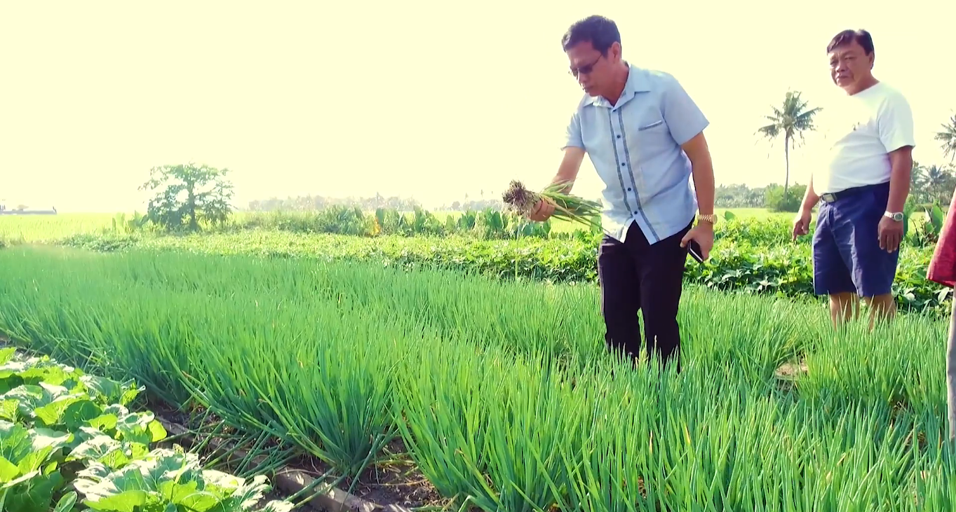Bongabong, the hidden treasure of Or. Mindoro | Global News