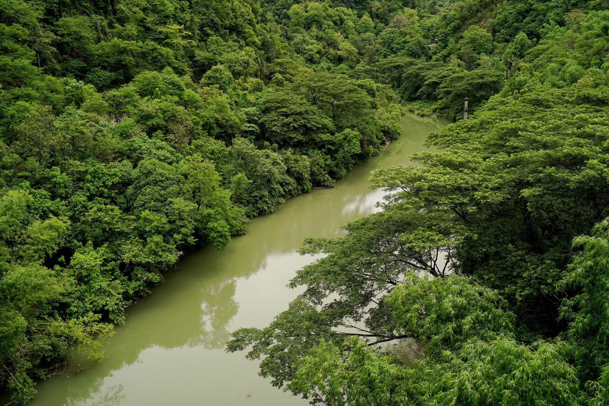 Addressing the state of the nation’s watersheds: Protect at all costs