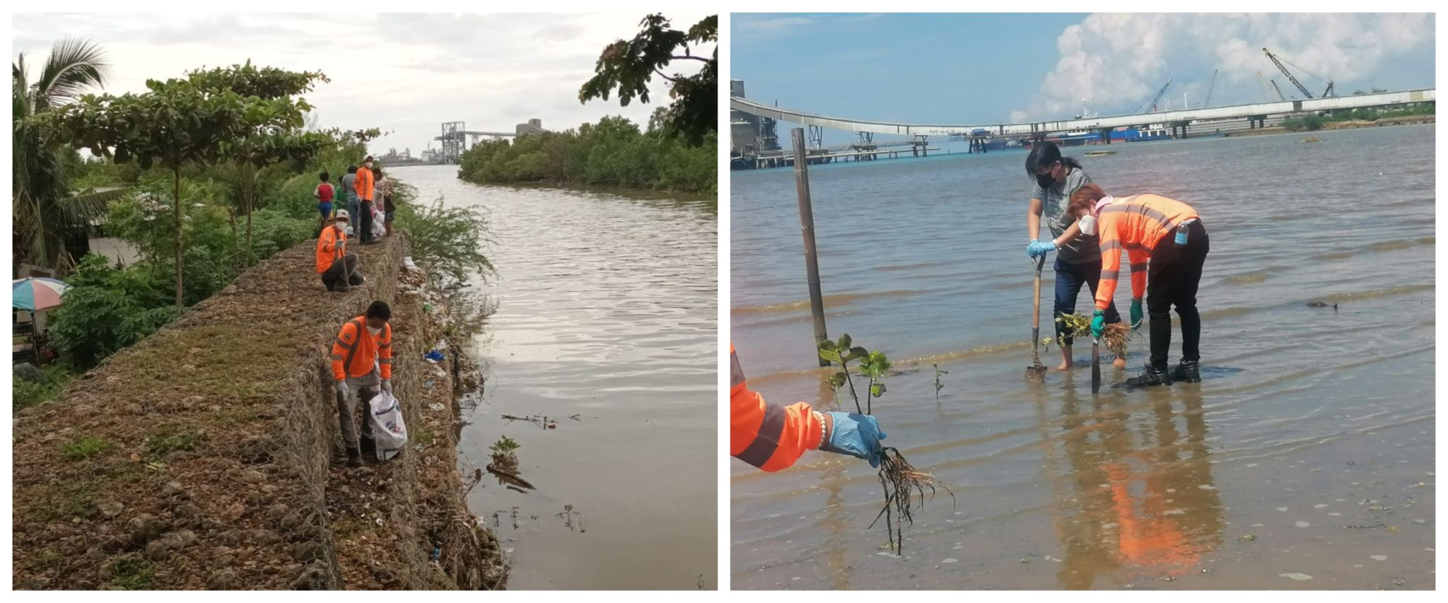 CEMEX celebrates environment month in Rizal and Cebu | Global News