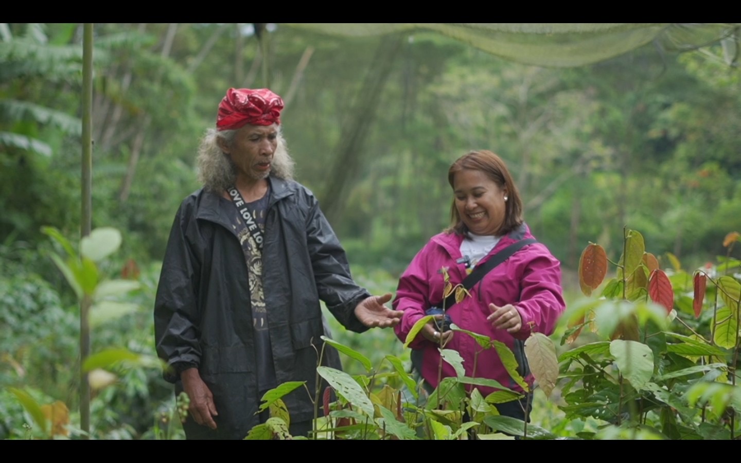 Forest advocates, indigenous people take spotlight in video anthology ...