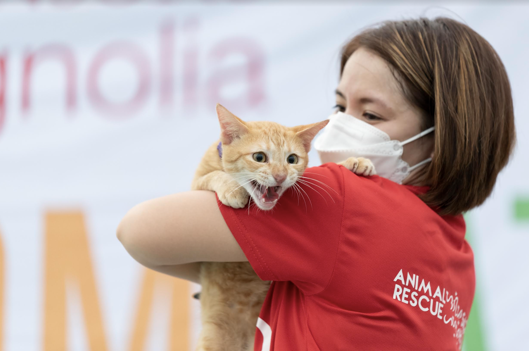 In partnership with AKF, Robinsons Malls takes steps to protect community cats