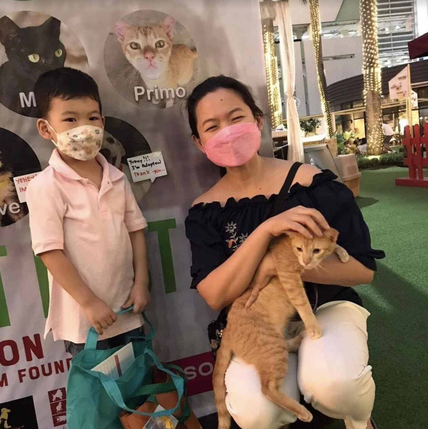 In partnership with AKF, Robinsons Malls takes steps to protect community cats
