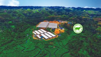 Excelsior and Eggcelsior Farms: Addressing food sustainability through ...