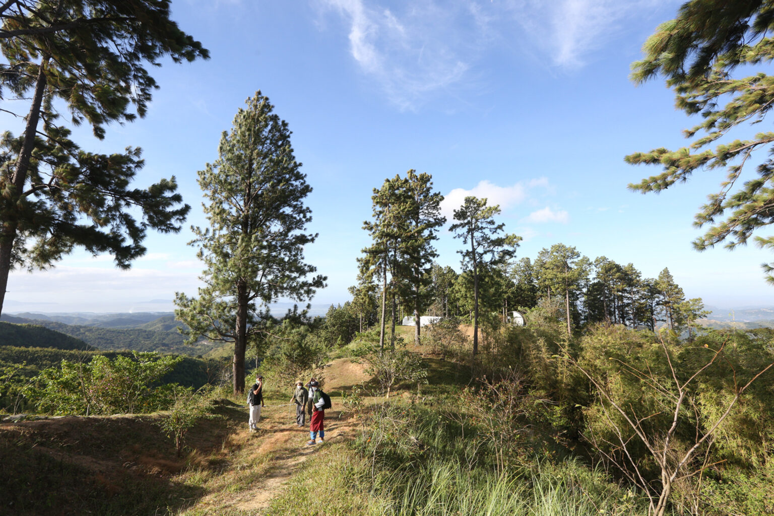 Global activist Greta Thunberg stands with Masungi