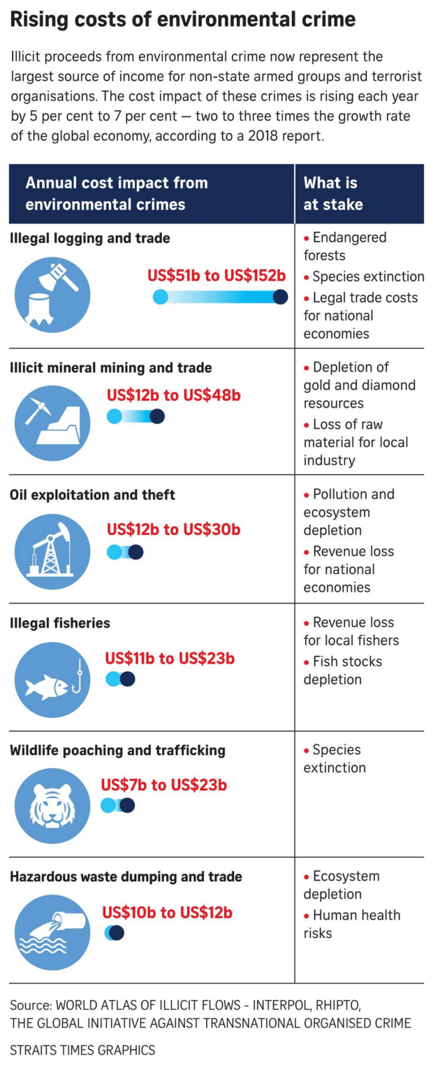 Singapore's new anti-money laundering laws target eco-crime gains