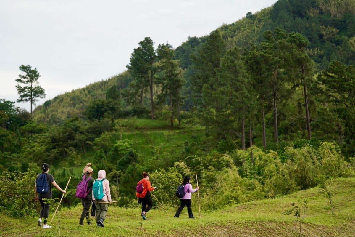 Masungi selected for 2025 international innovation expo