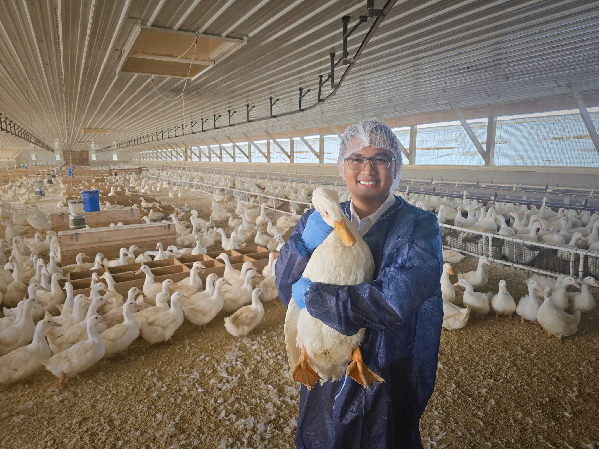 No need to import: Tender-Fresh Duck Meat is now locally produced