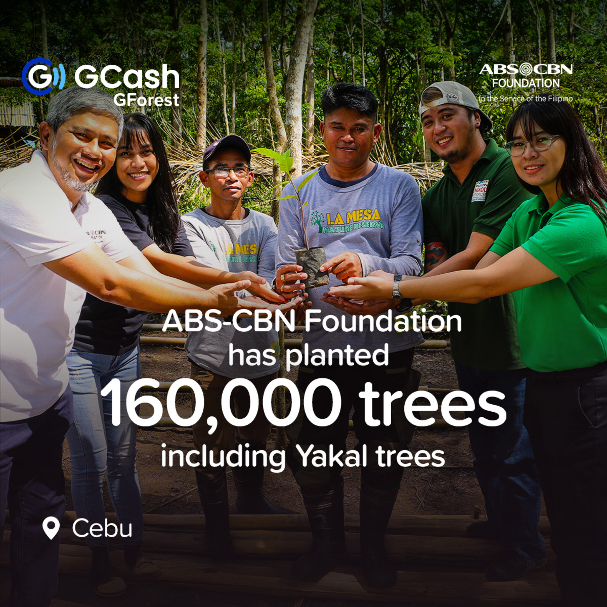 4 million trees and counting: Planting partners and GForest 'Green ...