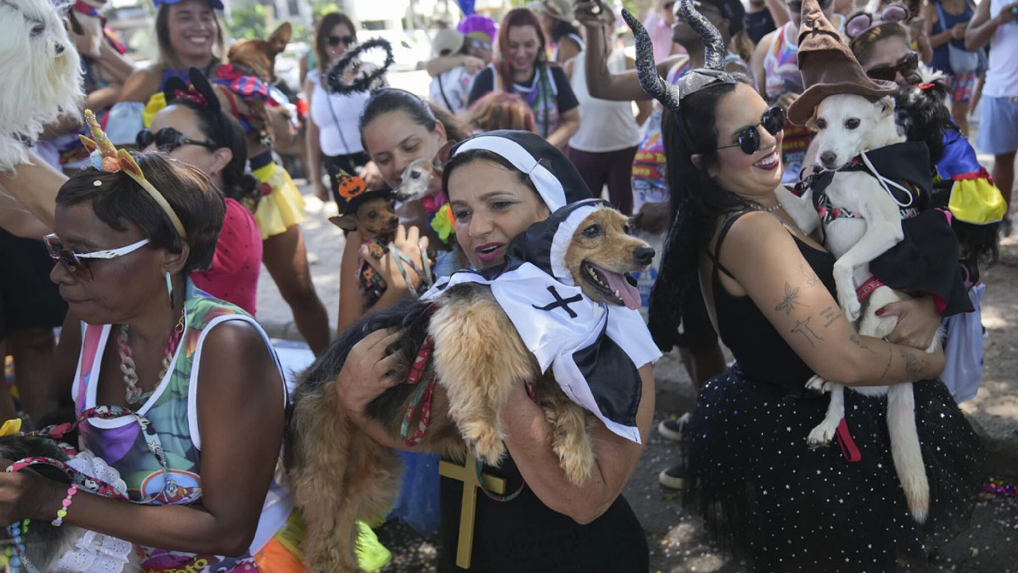 Dogs parade in costumes in Rio de Janeiro’s Carnival