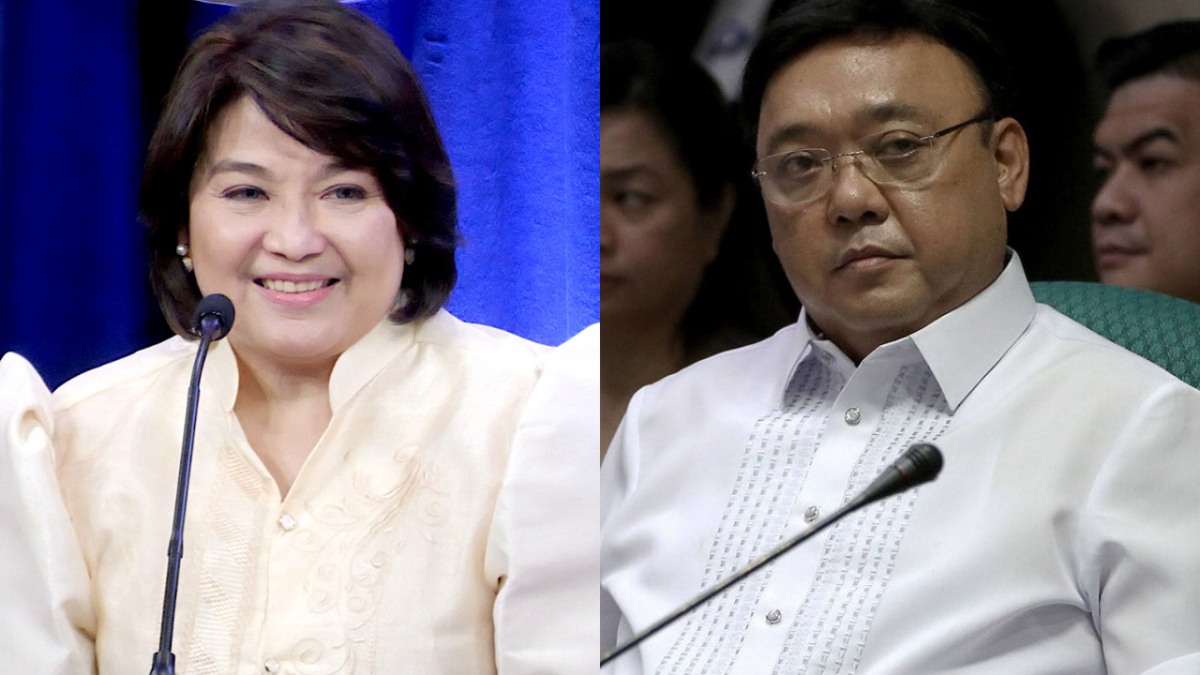 Harry Roque seeking asylum to avoid further Pogo probe – Palace