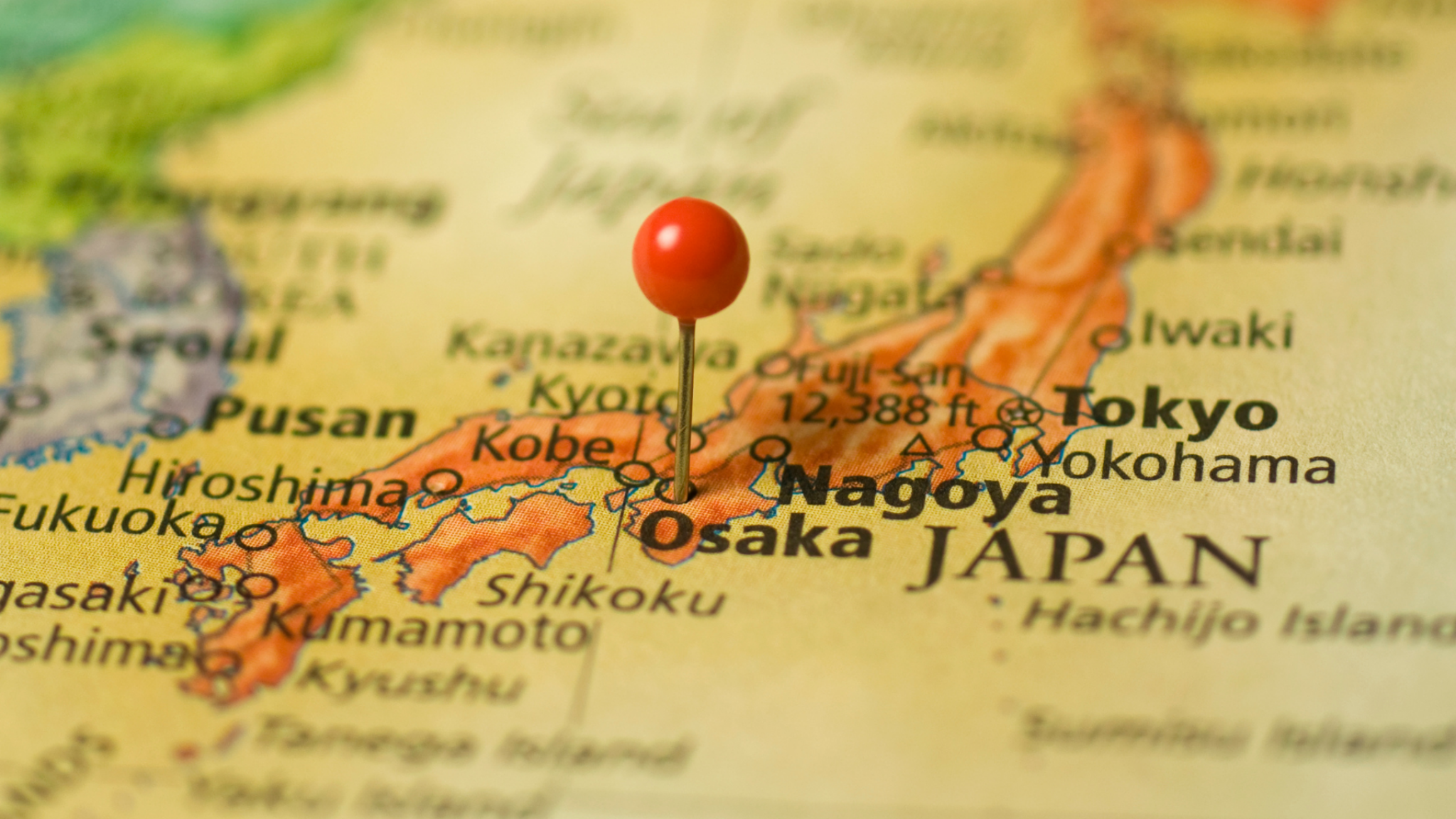 Mutilated human remains found in plastic bag in Japan's Osaka