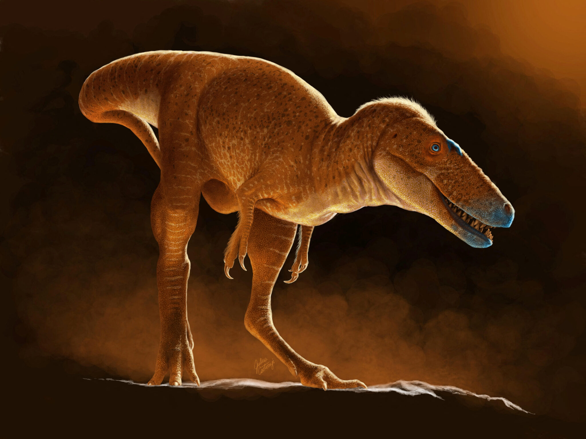 Mongolia's 'Dragon Prince' dinosaur was forerunner of T. rex