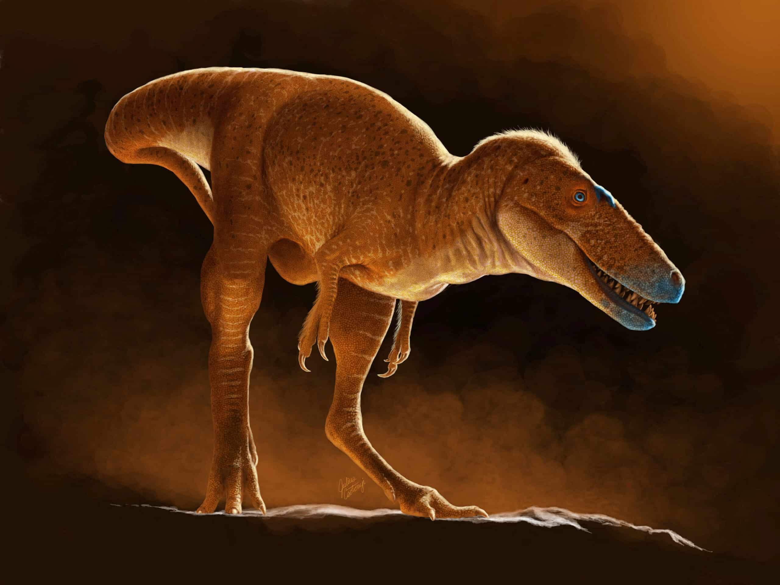 Mongolia's 'Dragon Prince' dinosaur was forerunner of T. rex