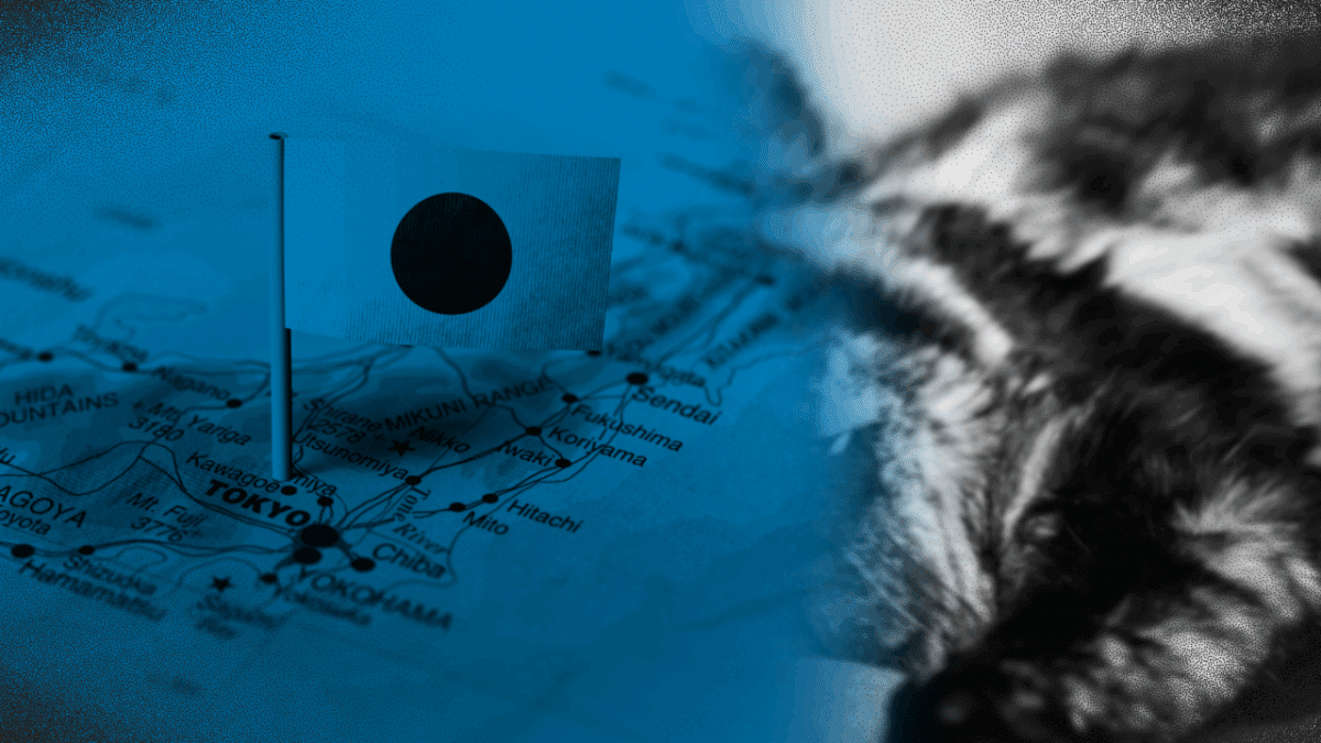 Around 100cats found dead at Japan woman’s home