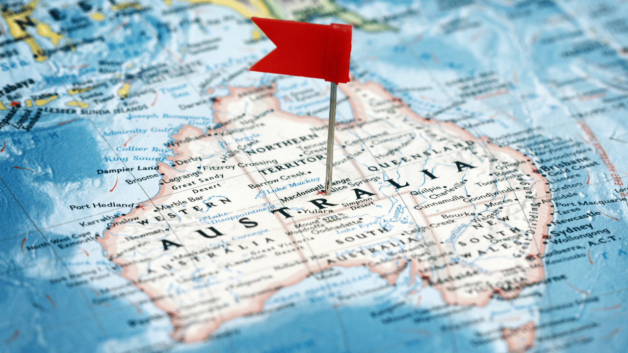 Ancient whale, ‘cute’ but fearsome, unearthed by scientists