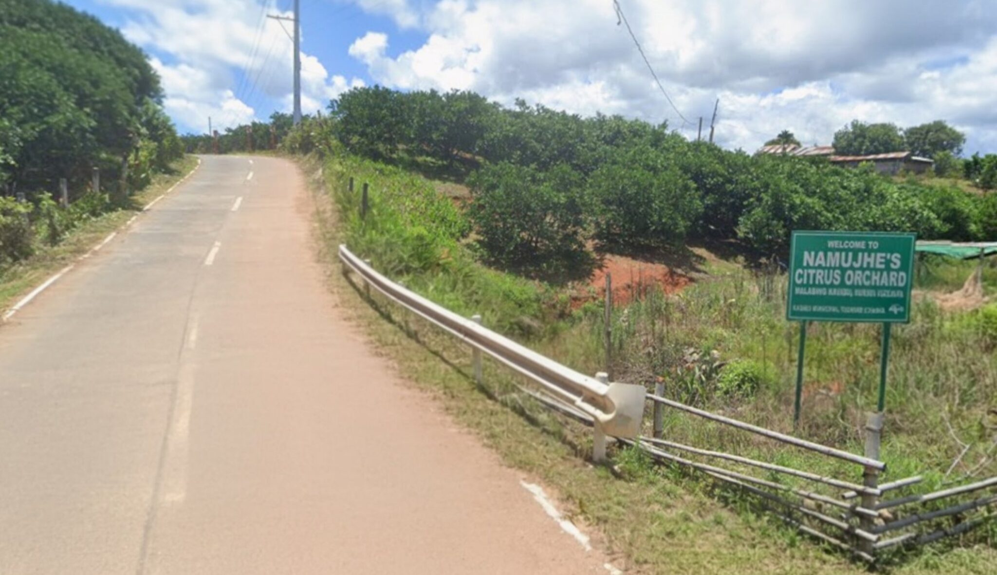 Harvest of Dreams: Citrus pioneer turns Malabing Valley into land of ...