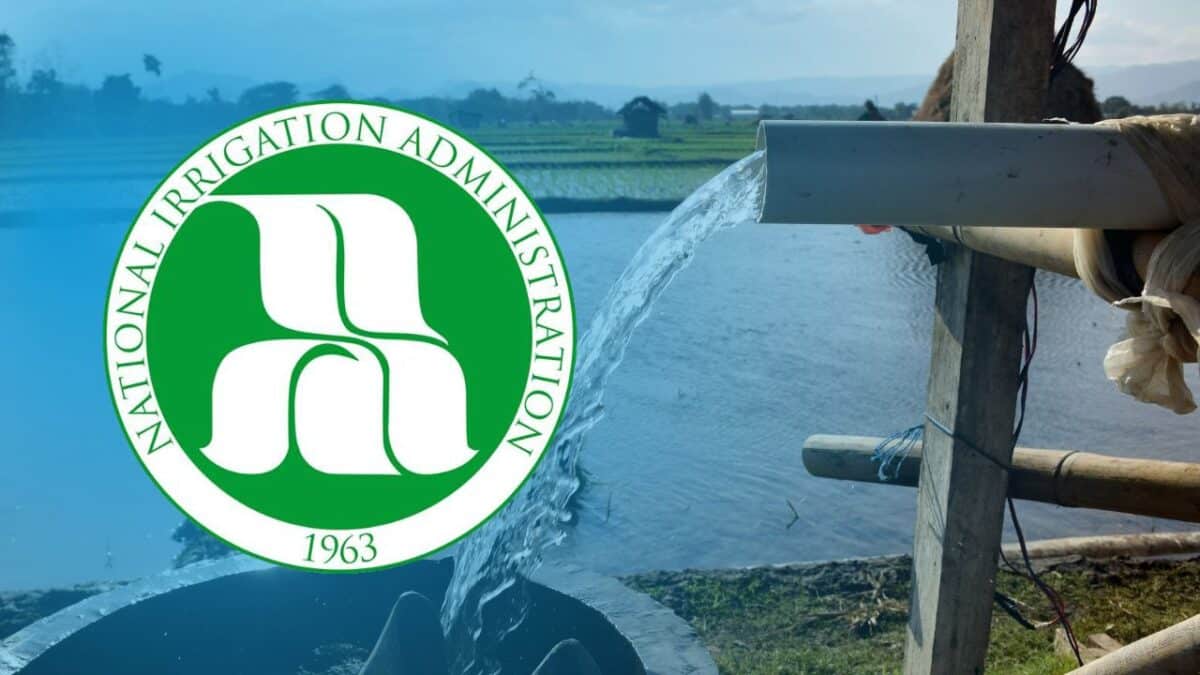 Lawmaker asks NIA to halt P450-M weather subscription to US firm