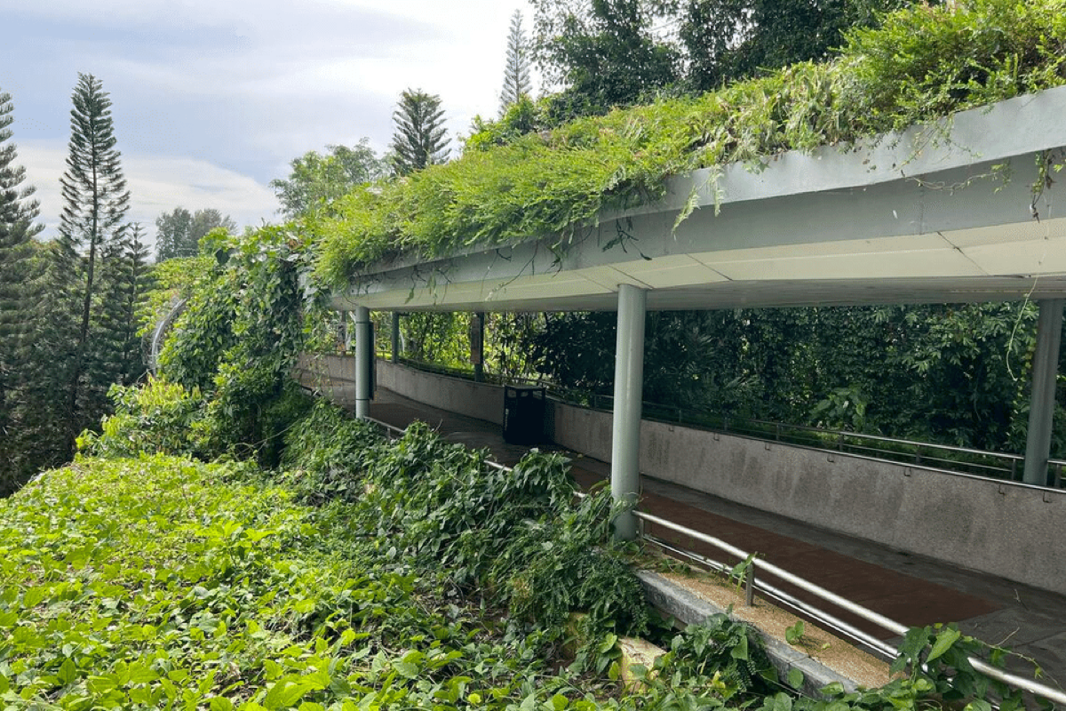 Sentosa unveils cooling plans: Misting stations and cooler floors