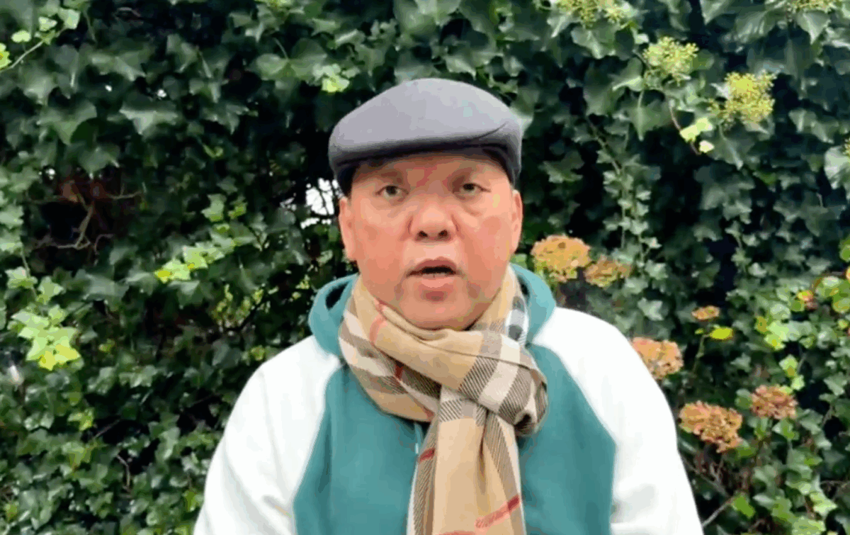 Harry Roque stays in The Hague after doctors block Austria flight