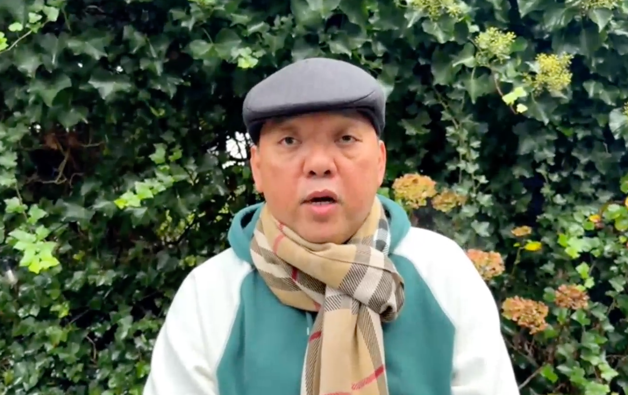 Harry Roque stays in The Hague after doctors block Austria flight