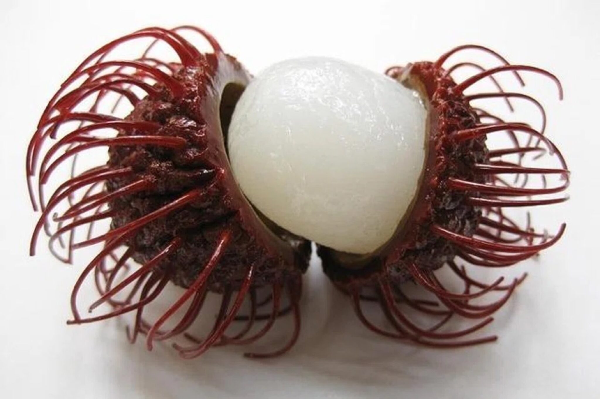 After choking on rambutan seed, 5-year-old boy dies in Malaysia